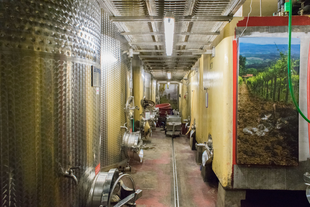 Cesani Winery – San Gimignano, Italy – The Walking Grape